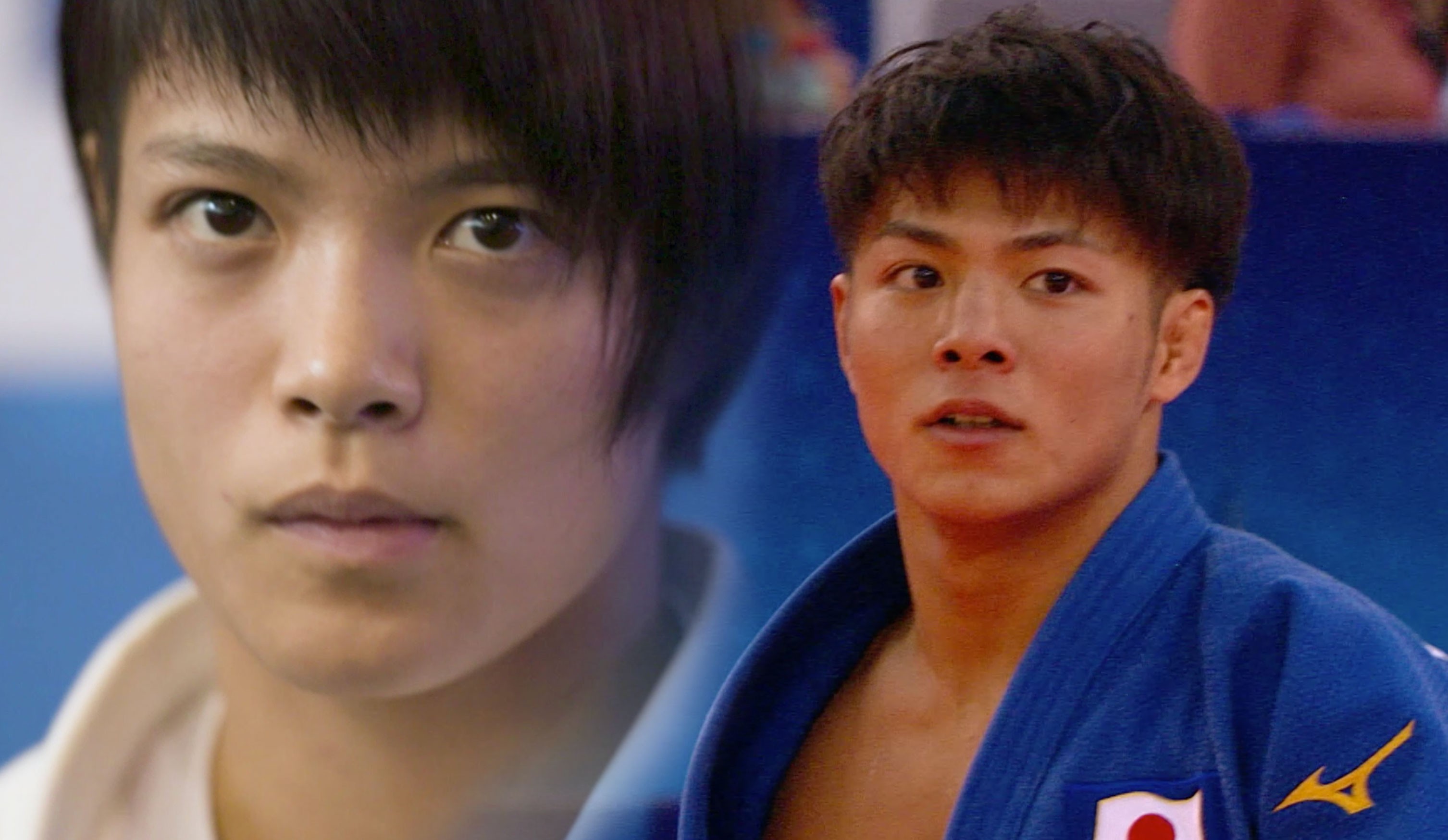 The Abe's Dynasty / IJF.org