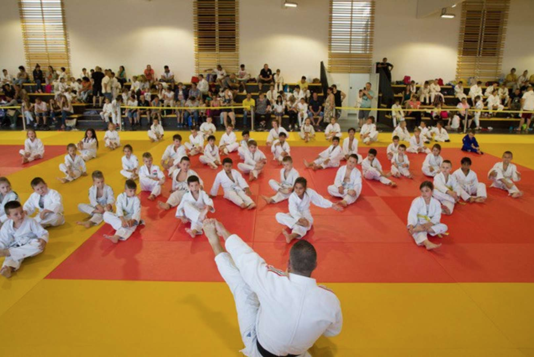 Judo In Schools Hungary / IJF.org