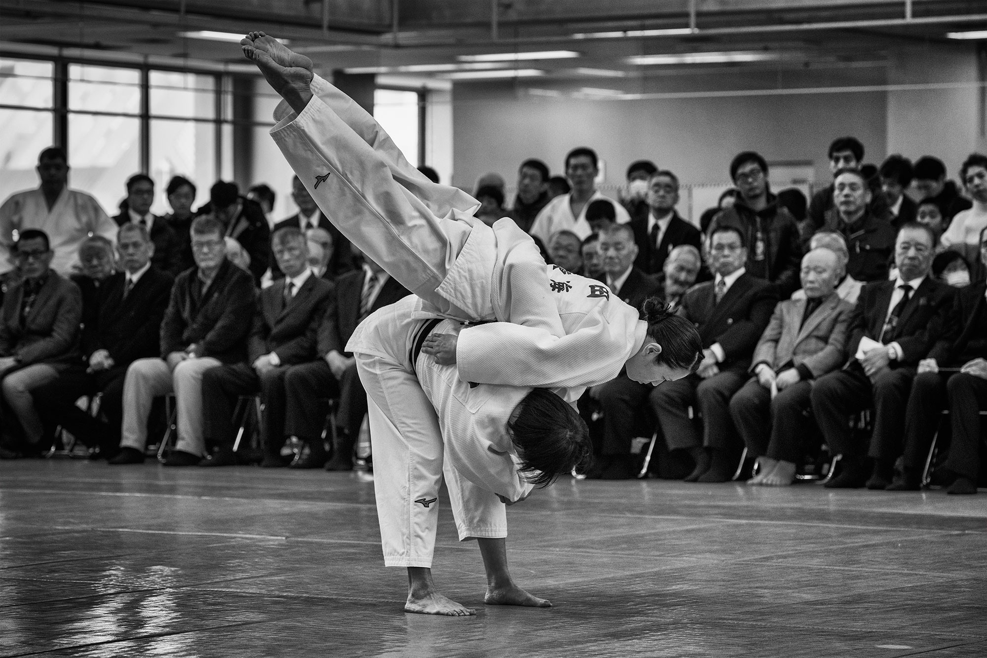 Seiryoku-Zenyo: Ultimately, There is Simplicity / IJF.org