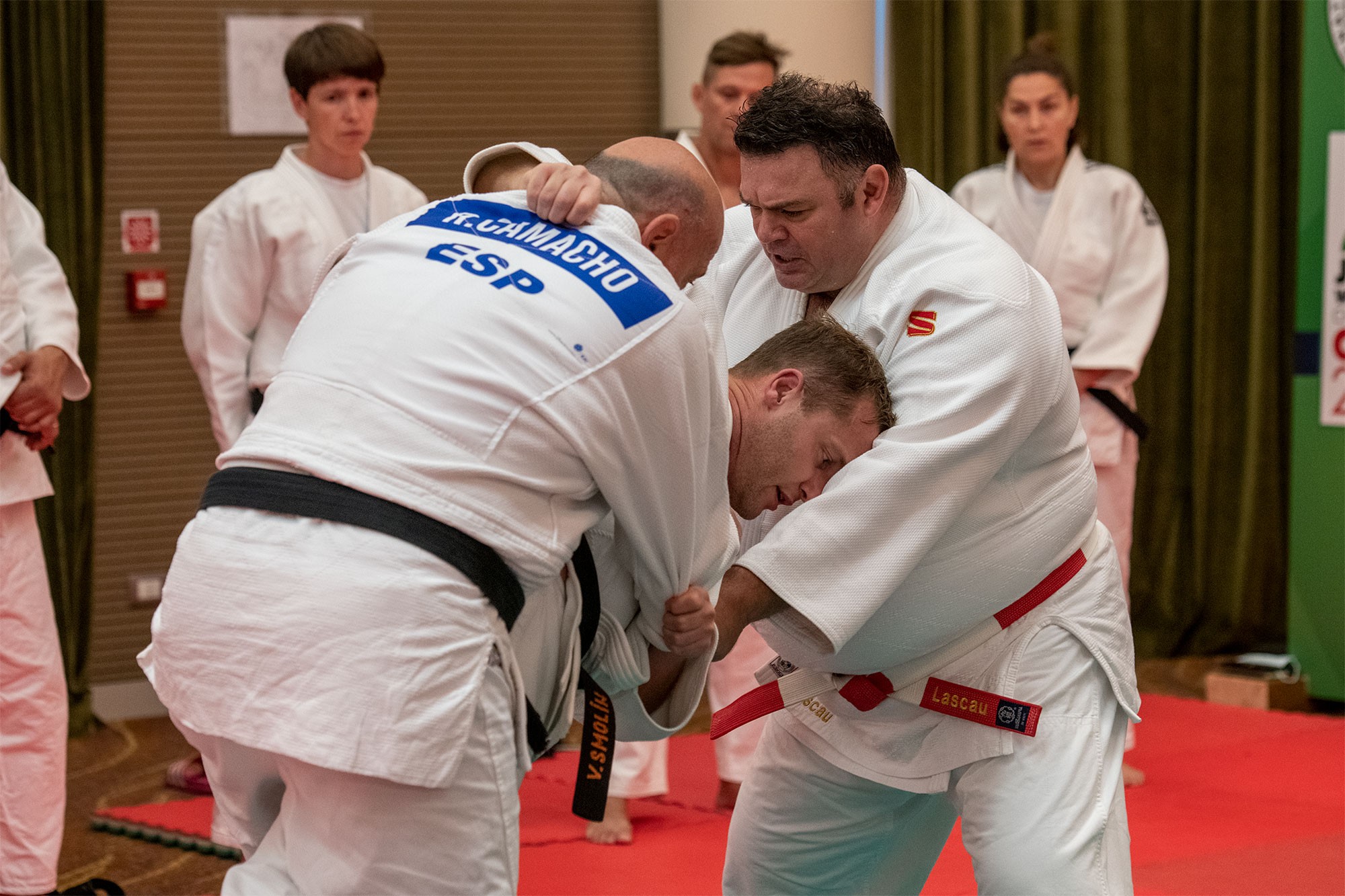 Referee Judo Session: Sweat at the Service of Fair Decisions / IJF.org