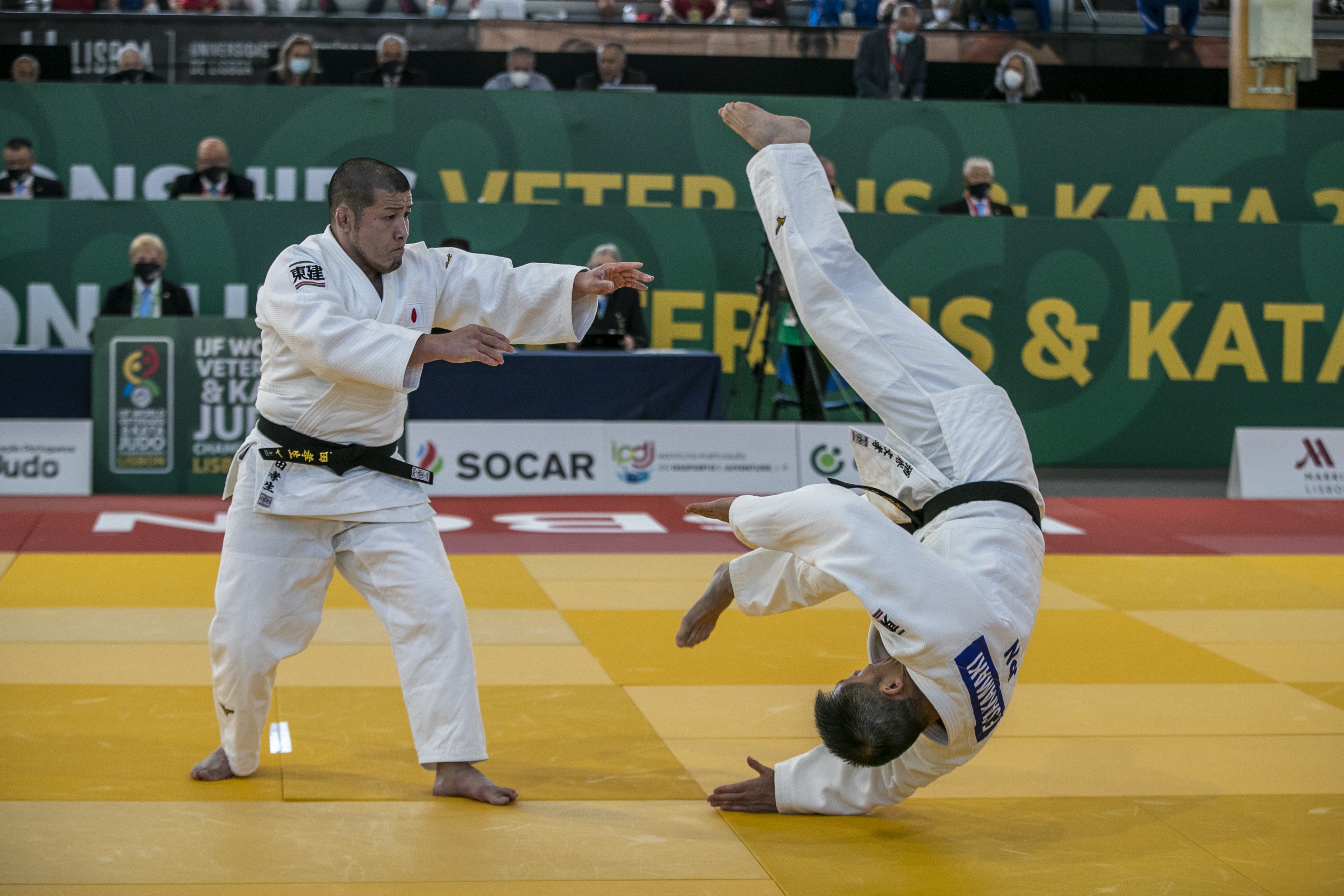 The Kata Catalysis / IJF.org