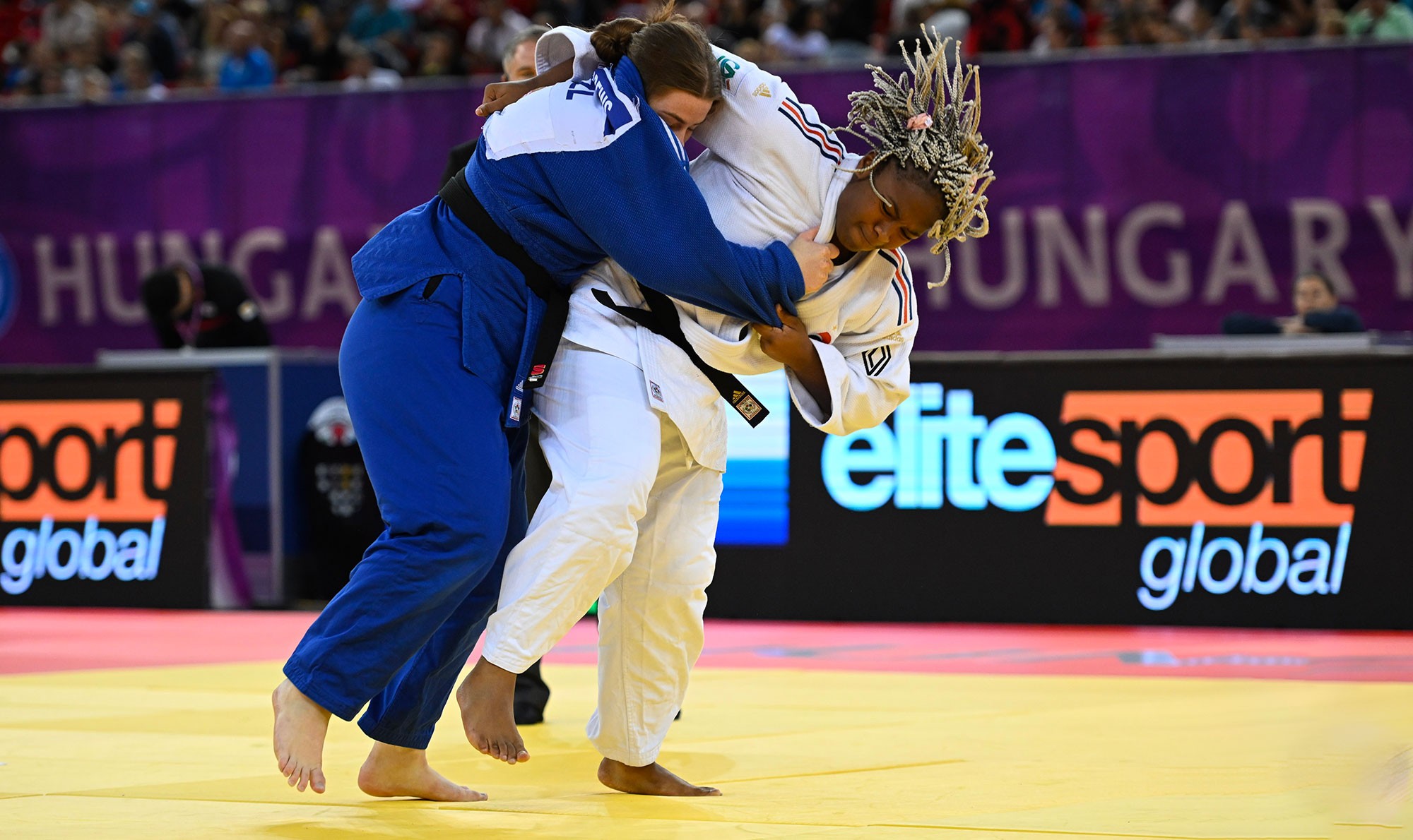 +78kg: After Failing at the Worlds, Dicko Succeeds at the Masters / IJF.org
